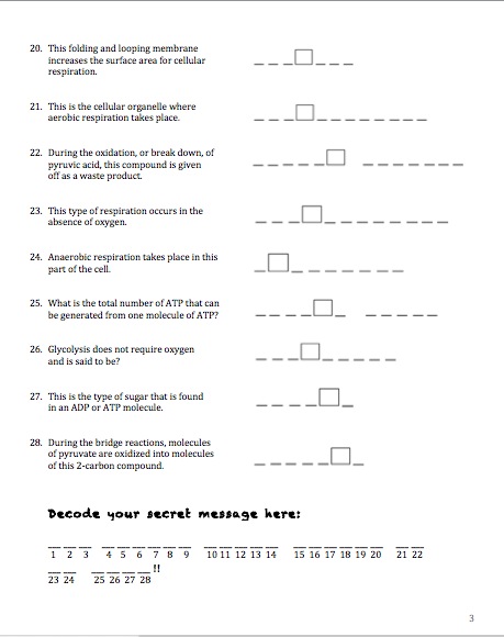 Compare And Contrast Cellular Respiration And Photosynthesis Essay compare-and-contrast-cellular-respiration-and-photosynthesis-essay